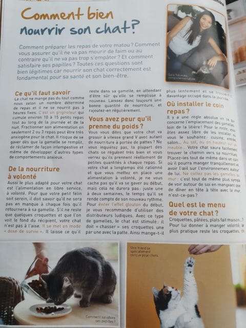 Présentation du Magazine Matou Chat - La Psy de mon chat