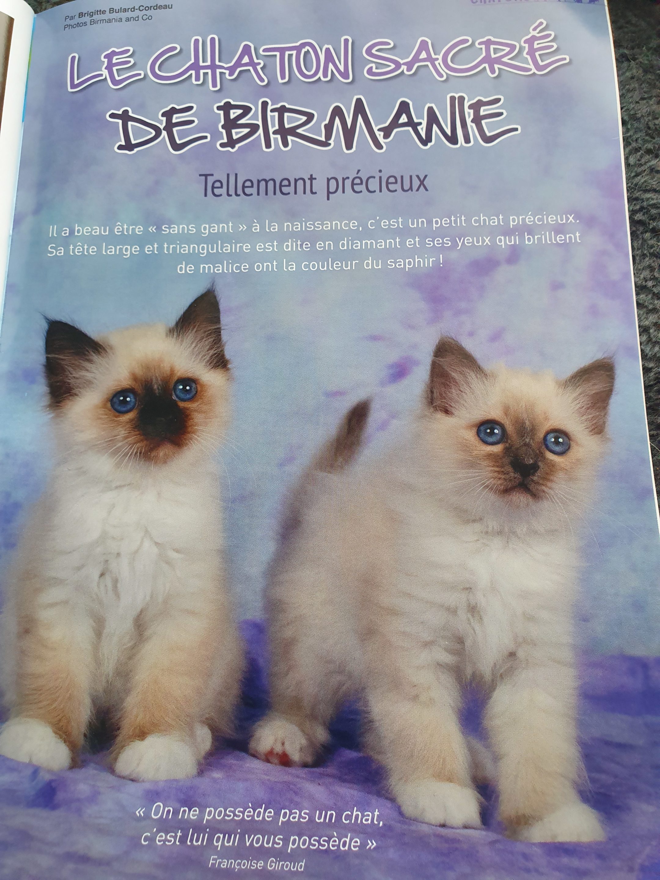 Présentation du Magazine Matou Chat - La Psy de mon chat