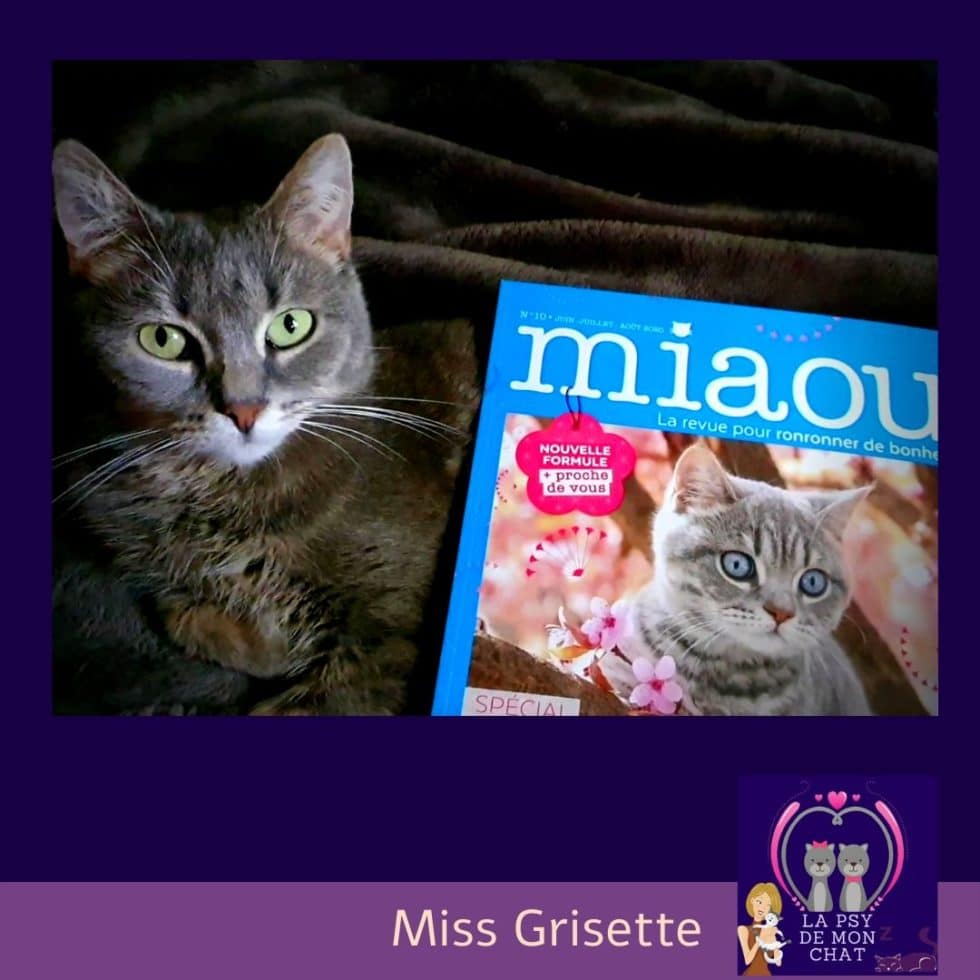 Le Magazine : MIAOU - La Psy de mon chat