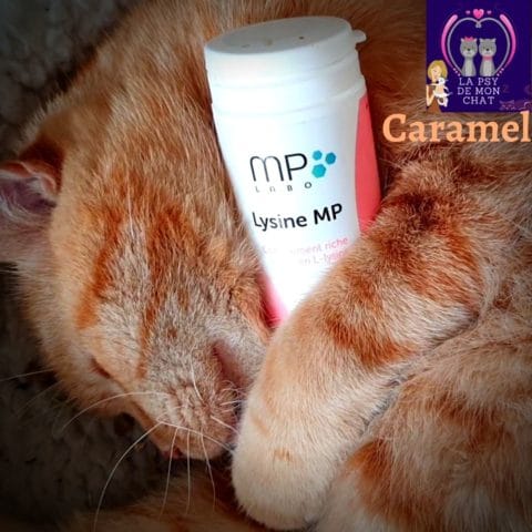 La Lysine pour chat de MP Labo - La Psy de mon chat
