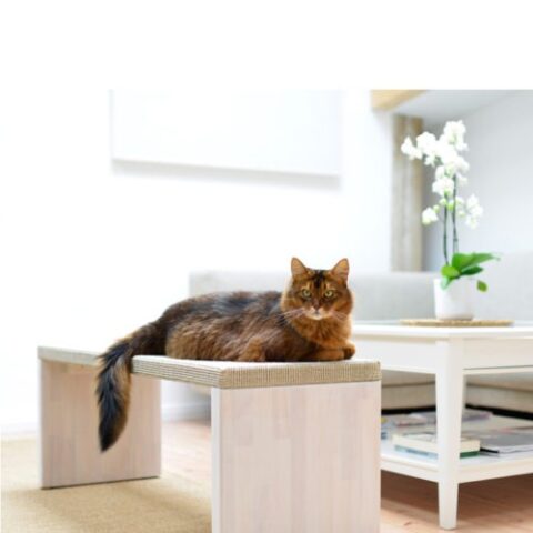 Un griffoir design pour mon chat : Style horizontal, de sol, sofa ...
