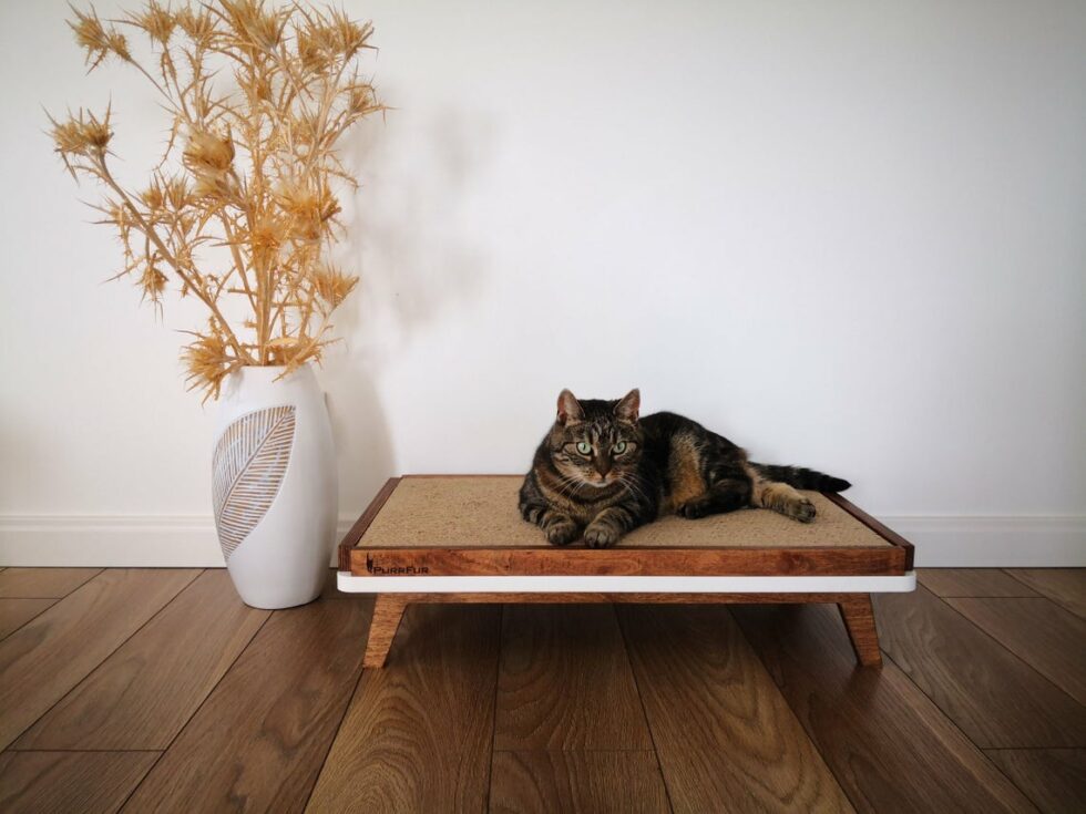 Un griffoir design pour mon chat : Style horizontal, de sol, sofa ...