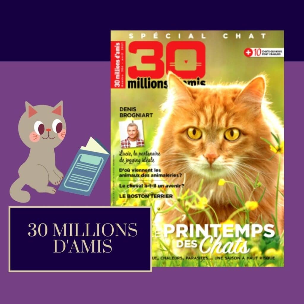 Les magazines et revues sur les chats - La Psy de mon chat