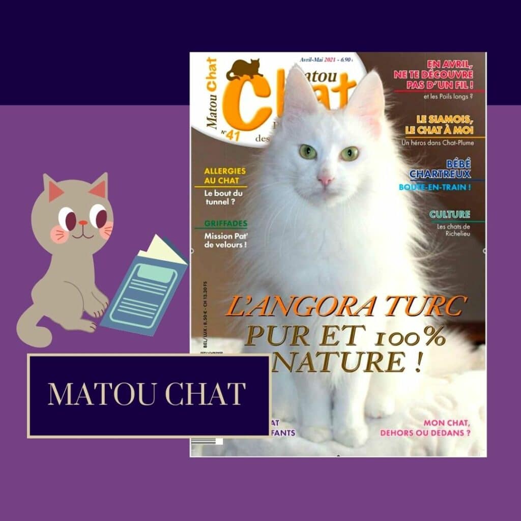 Les magazines et revues sur les chats - La Psy de mon chat