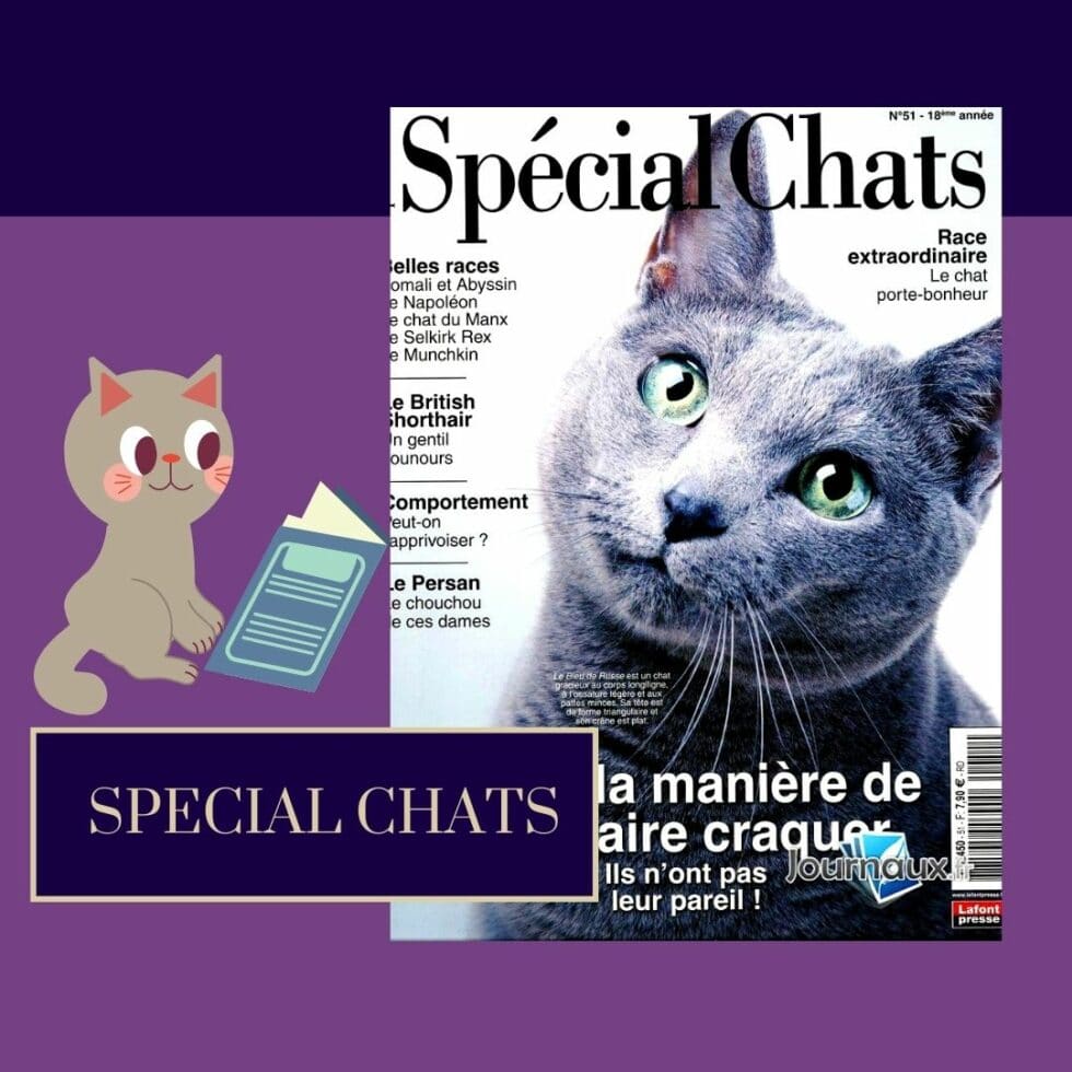 Les magazines et revues sur les chats - La Psy de mon chat
