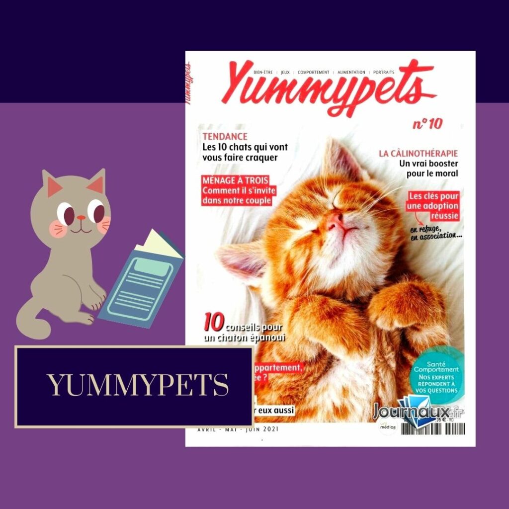 Les magazines et revues sur les chats - La Psy de mon chat