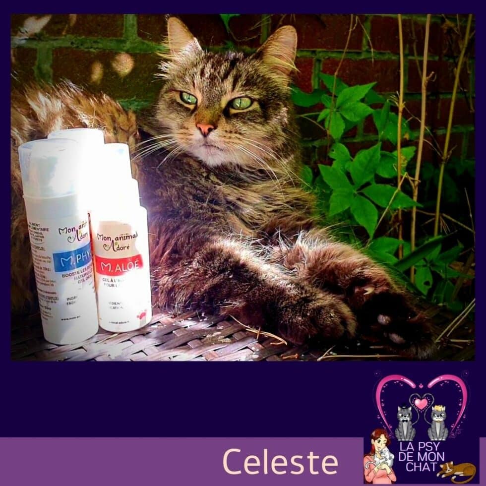 Mon animal adoré - Test de la gamme : bouche du chat ( M.Buccal et M ...