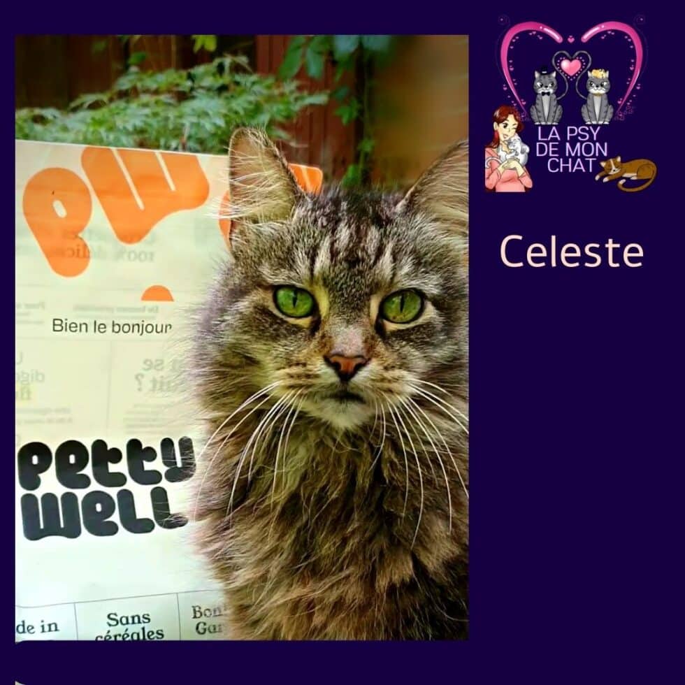 Marque petty well : les croquettes pour chat - La Psy de mon chat