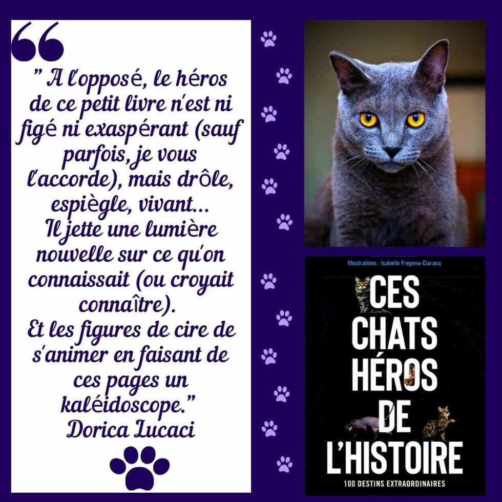 Ces chats héros de l'histoire de Dorica Lucaci - La Psy de mon chat