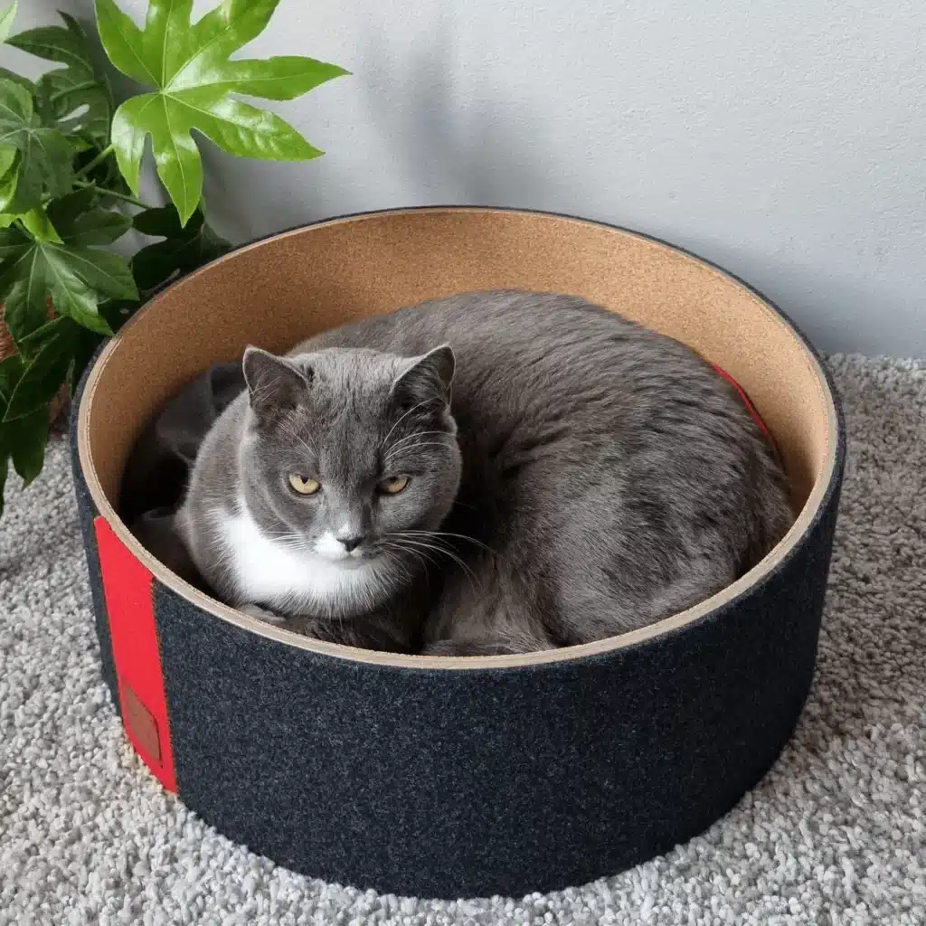 Un griffoir design pour mon chat : Style horizontal, de sol, sofa ...